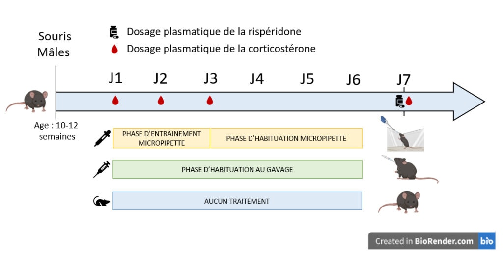 La micropipette : un super-biberon qui améliore le bien-être des ...